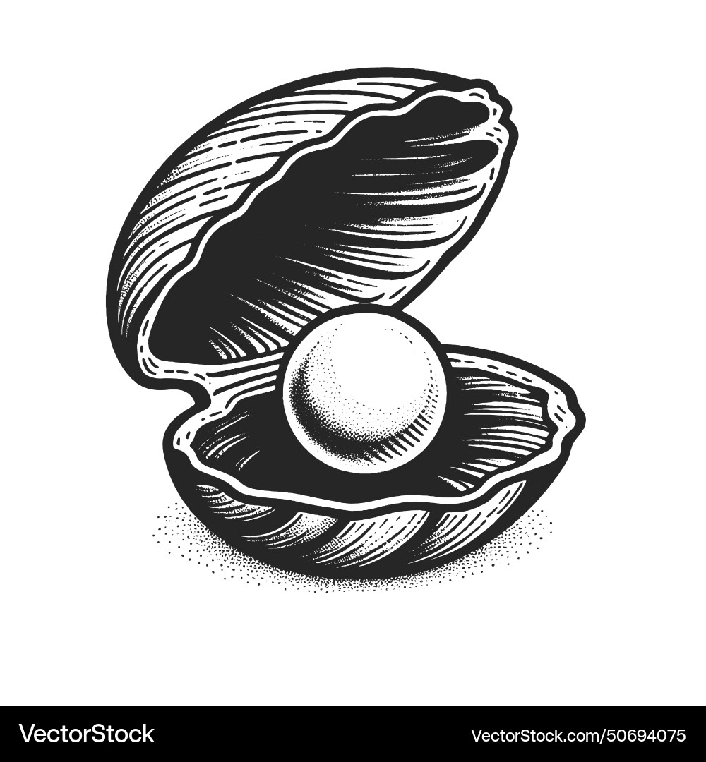 Pearl in open oyster shell engraving Royalty Free Vector
