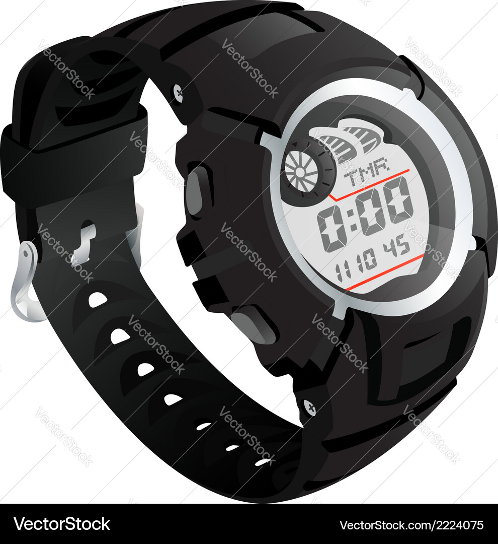 Watch Royalty Free Vector Image - VectorStock