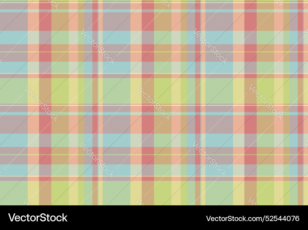 Apparel texture plaid textile native fabric Vector Image