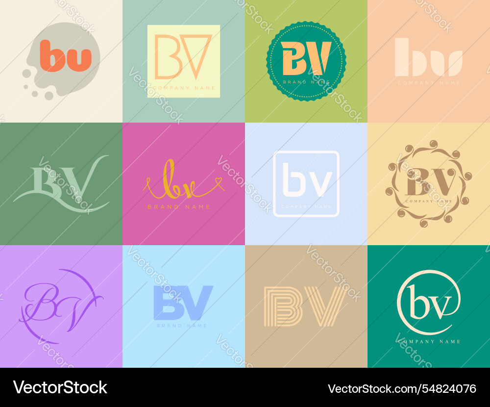 Bv logo company template letter b and v logotype Vector Image