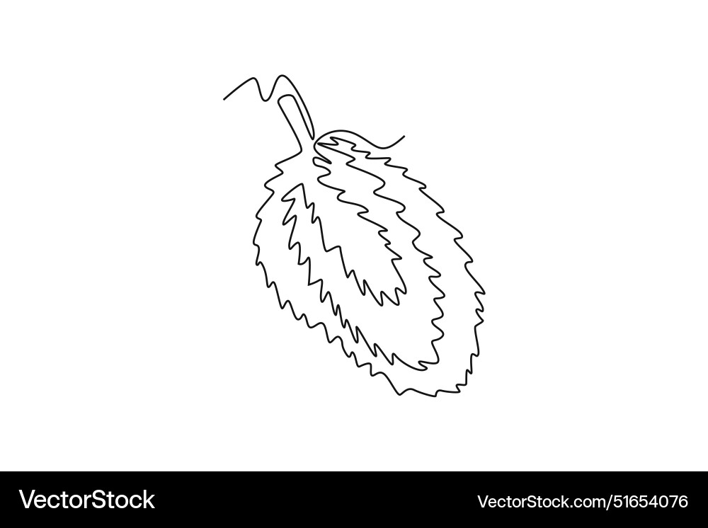 Continuous one line drawing whole freshness Vector Image