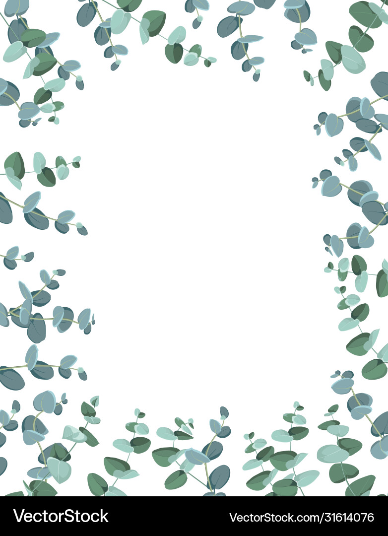 Eucalyptus border frame on white background Vector Image