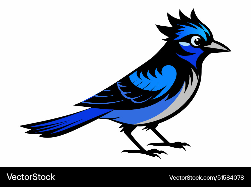 Blue jay bird exploring the beauty and behavior Vector Image