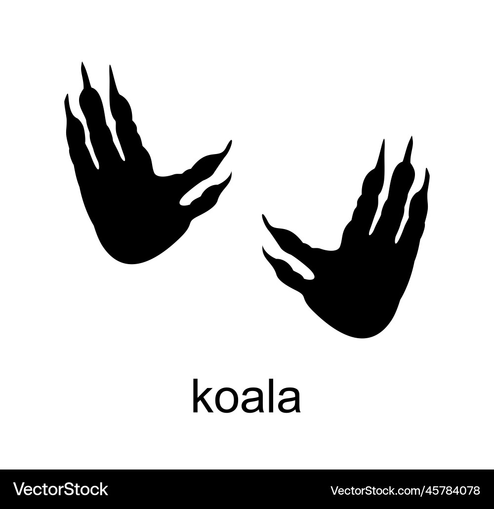 Koala footprint track steps Royalty Free Vector Image