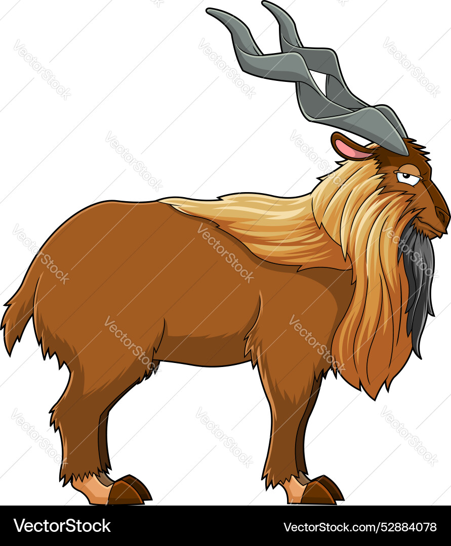 Markhor animal cartoon character Royalty Free Vector Image