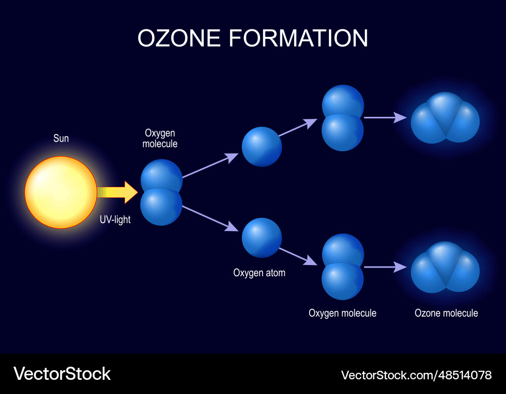 Ozone Formation