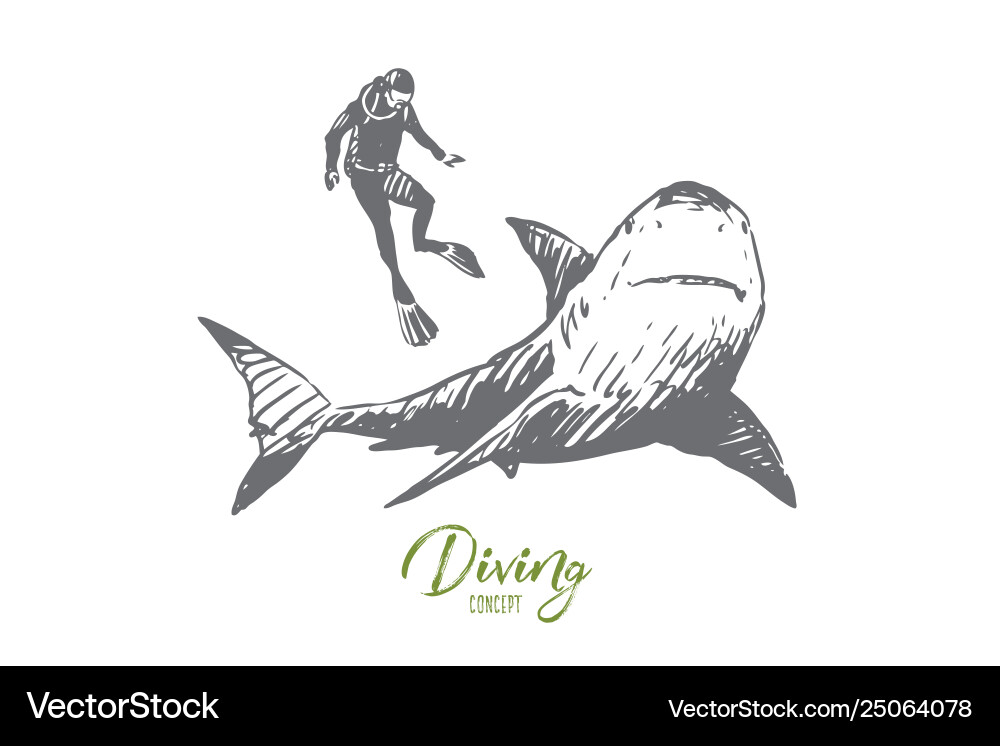 Underwater Shark Dive - Marine Life Royalty Free Vector