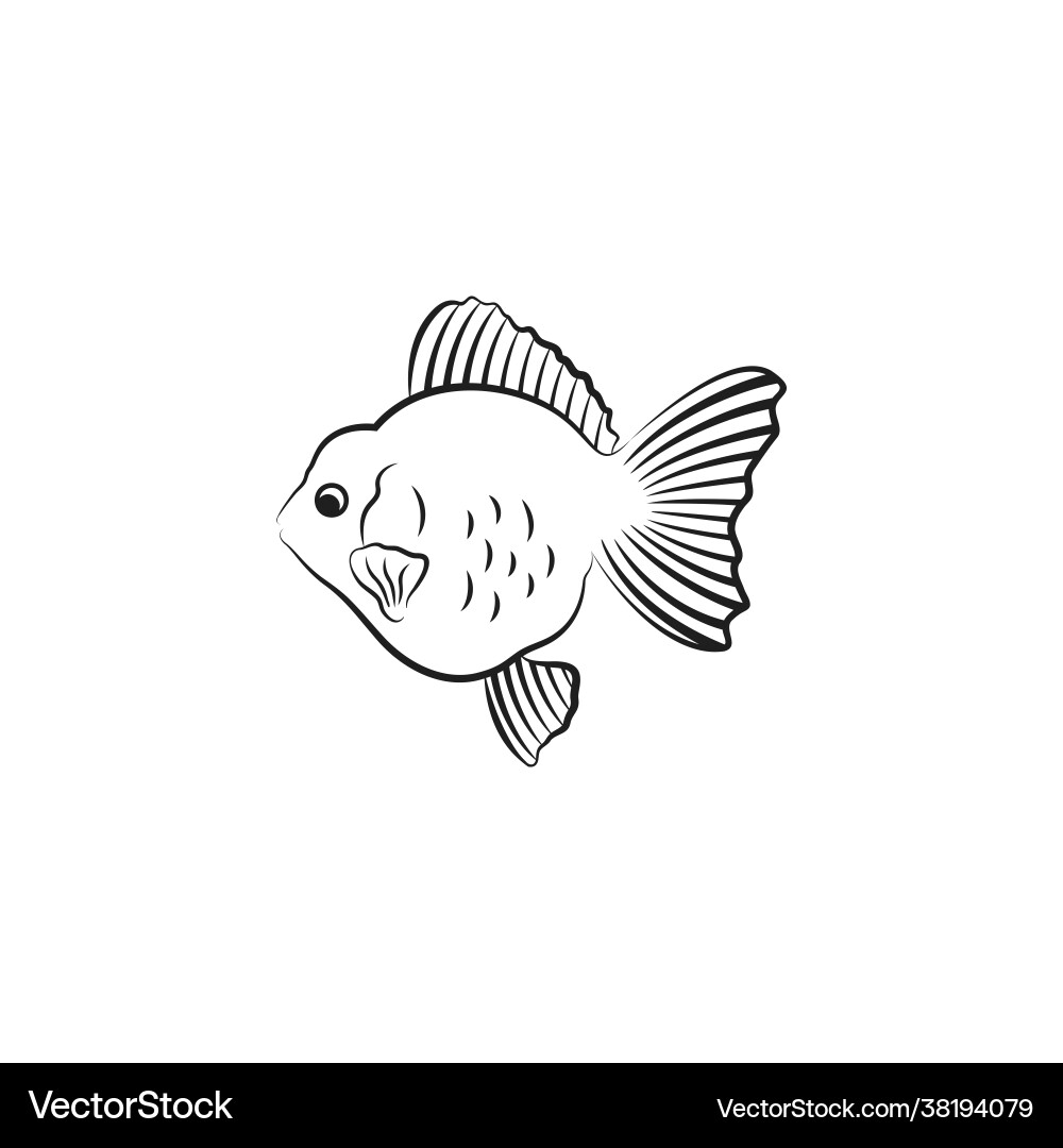 Gold fish icon Royalty Free Vector Image - VectorStock