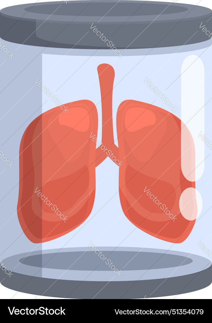 Human lungs model in glass jar Royalty Free Vector Image