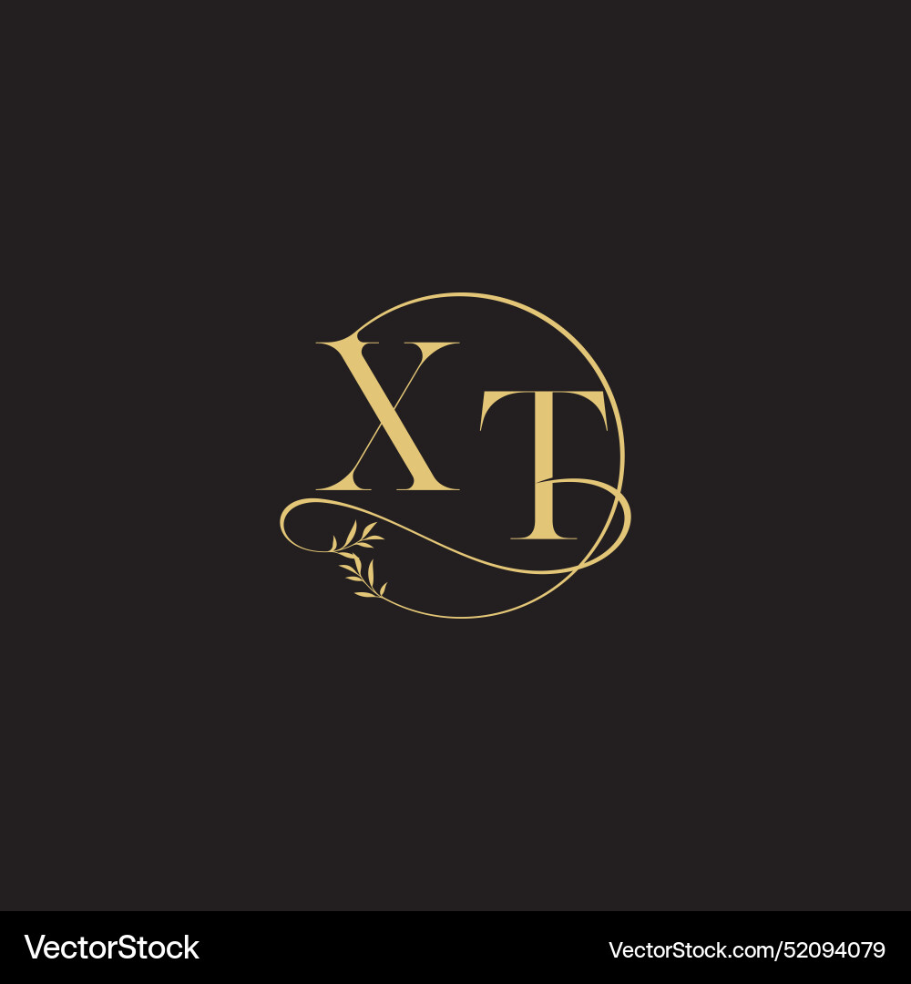 Xt letter circle and organic style luxury concept Vector Image