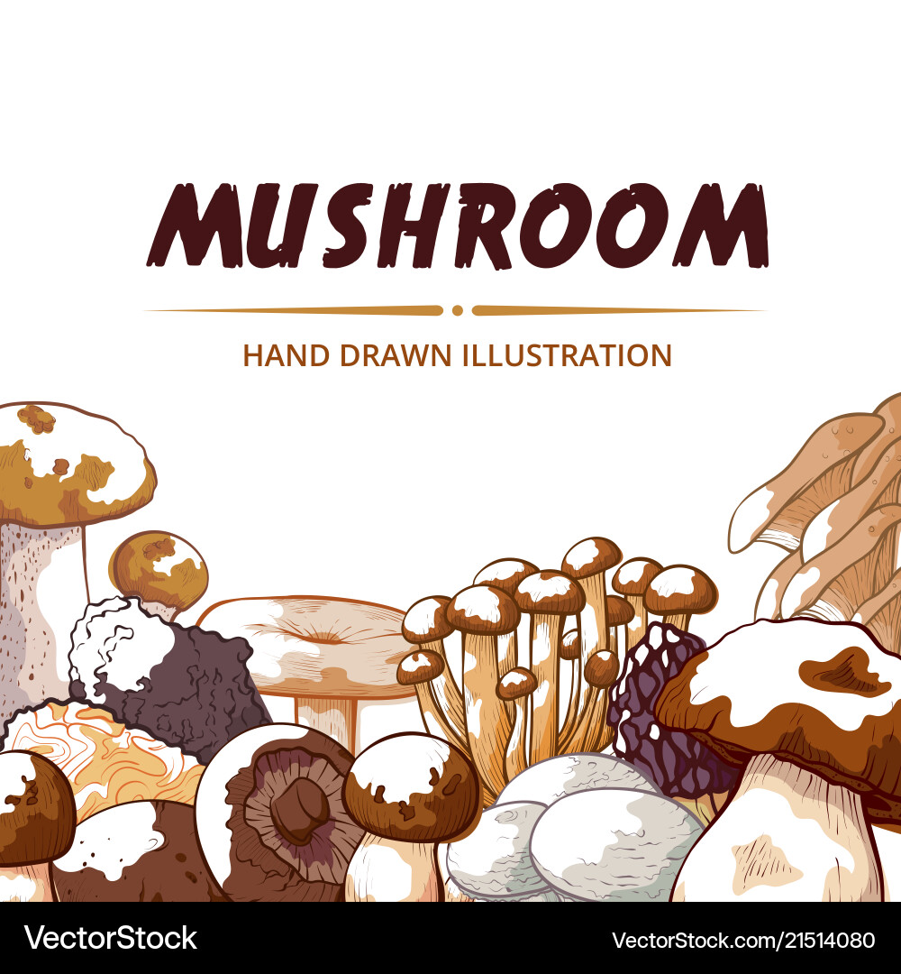 Mushroom icon frame hand drawn background Vector Image