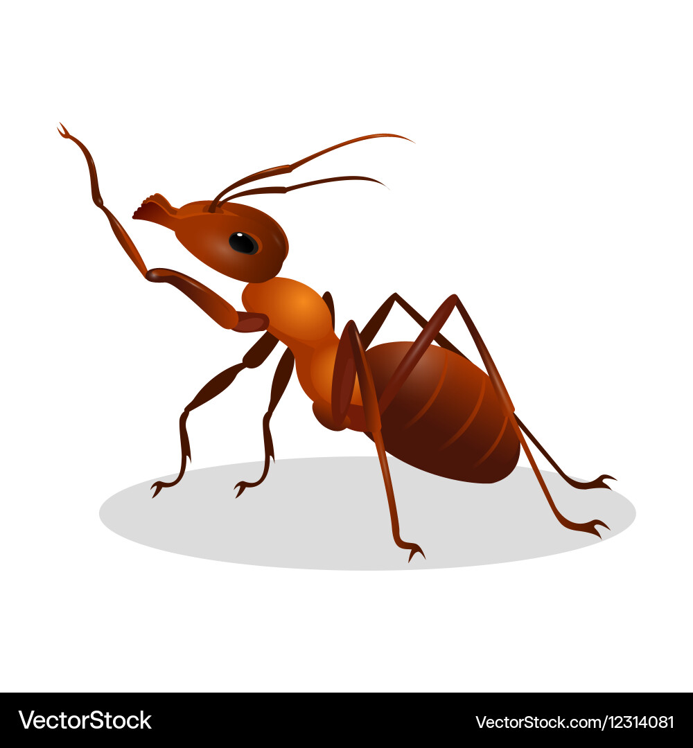 Cartoon realistic ant isolated on white one leg Vector Image