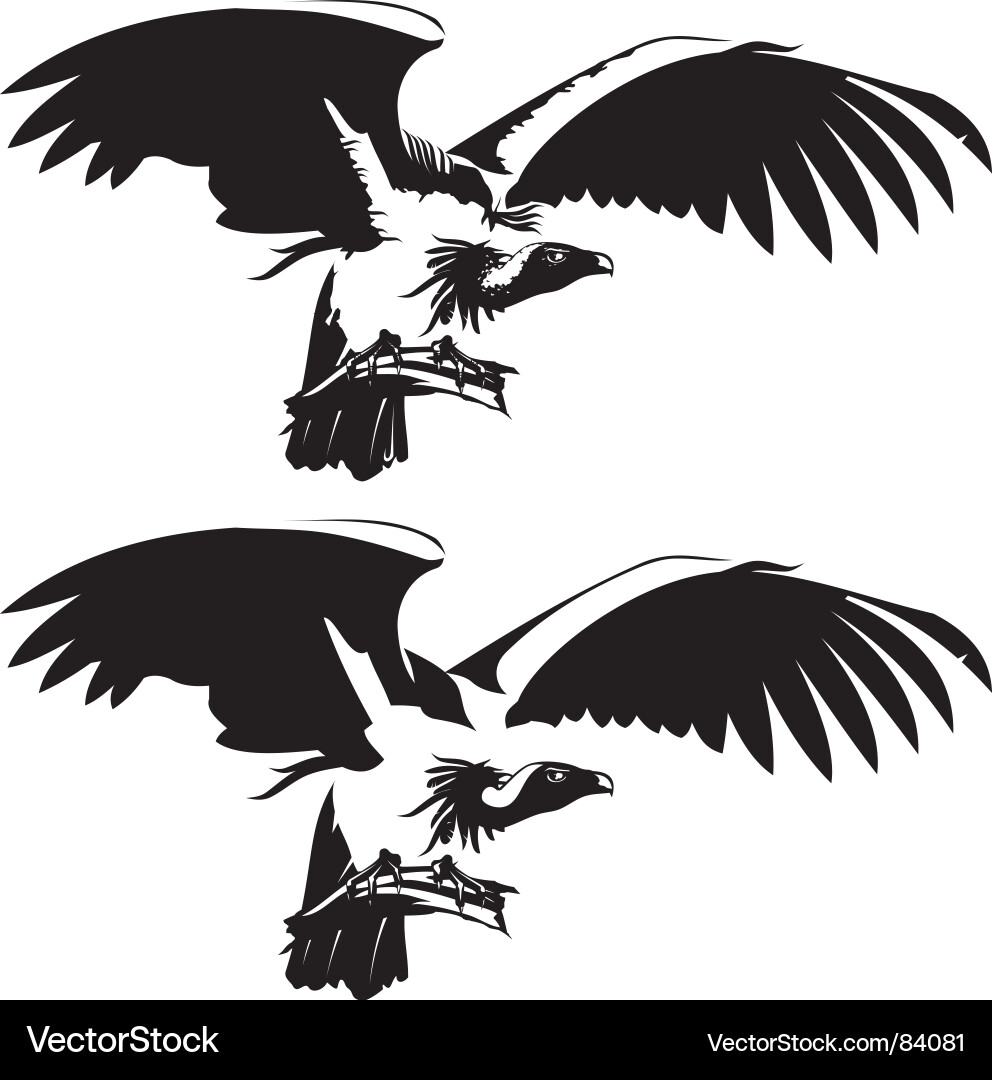 Condor Royalty Free Vector Image - VectorStock