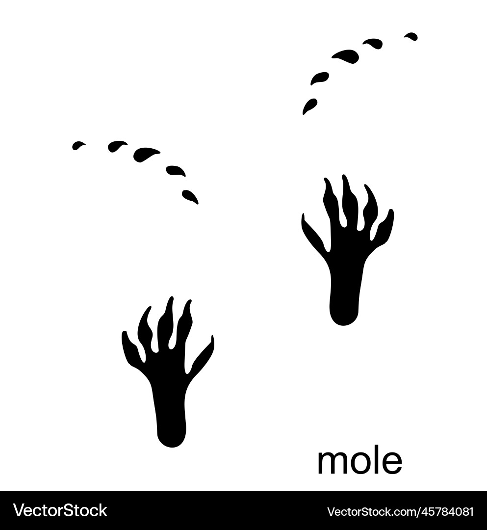 Mole footprint track steps handprint Royalty Free Vector