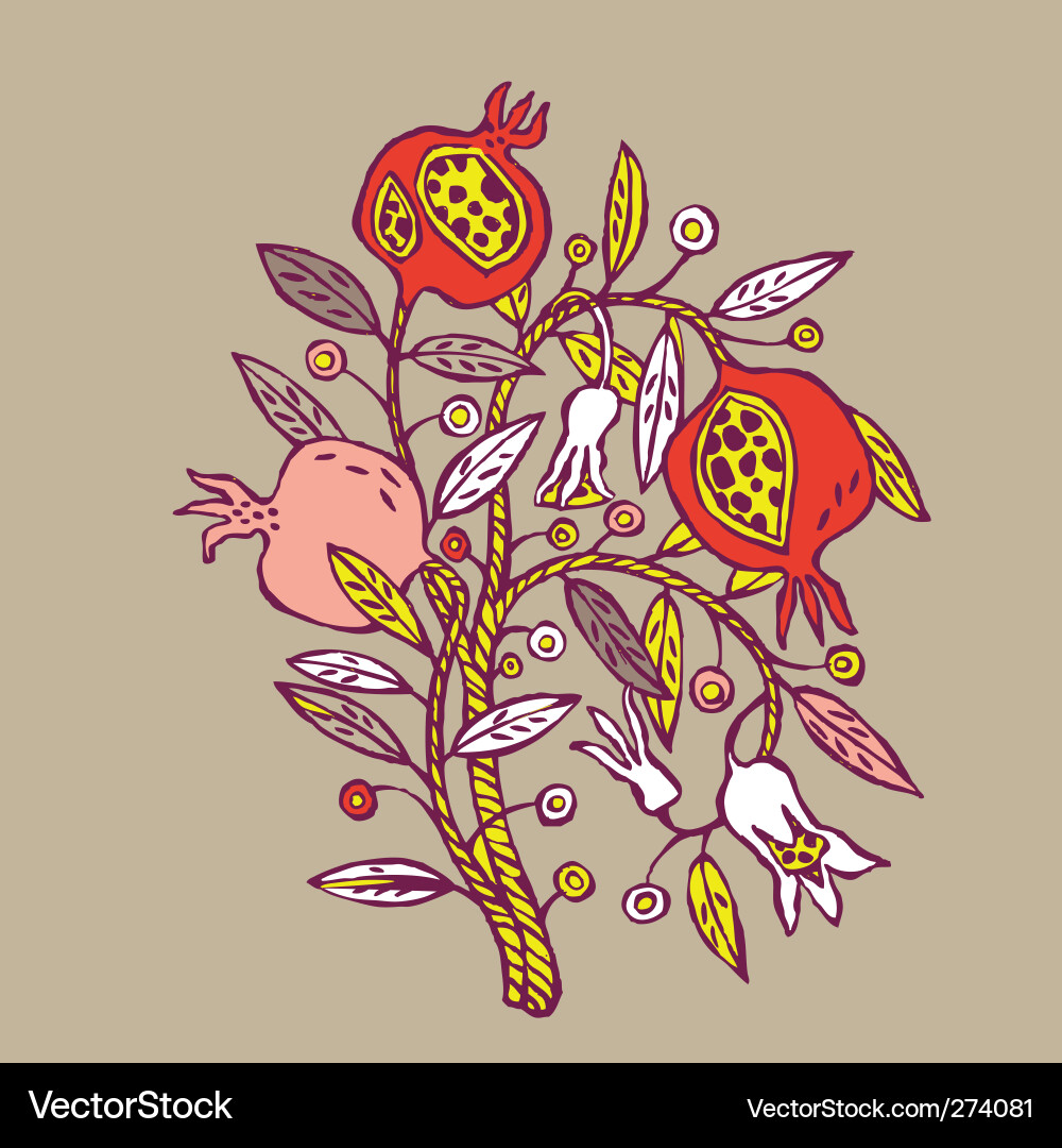 Pomegranate tree Royalty Free Vector Image - VectorStock