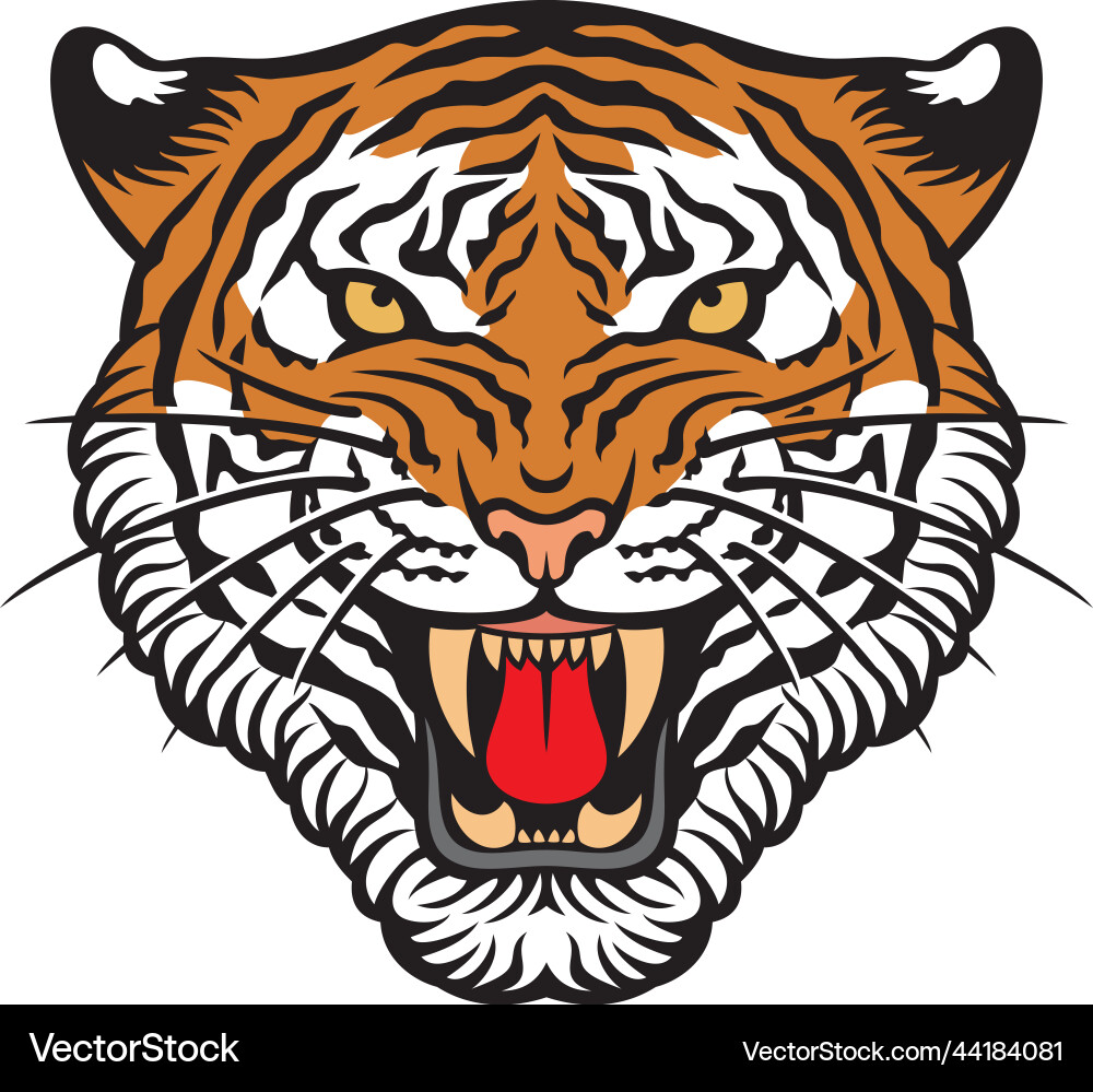 Tiger face color Royalty Free Vector Image - VectorStock