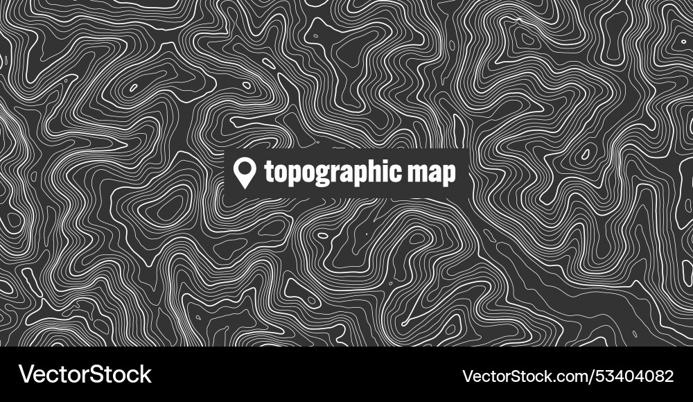 Topographic map with contour lines geographic Vector Image