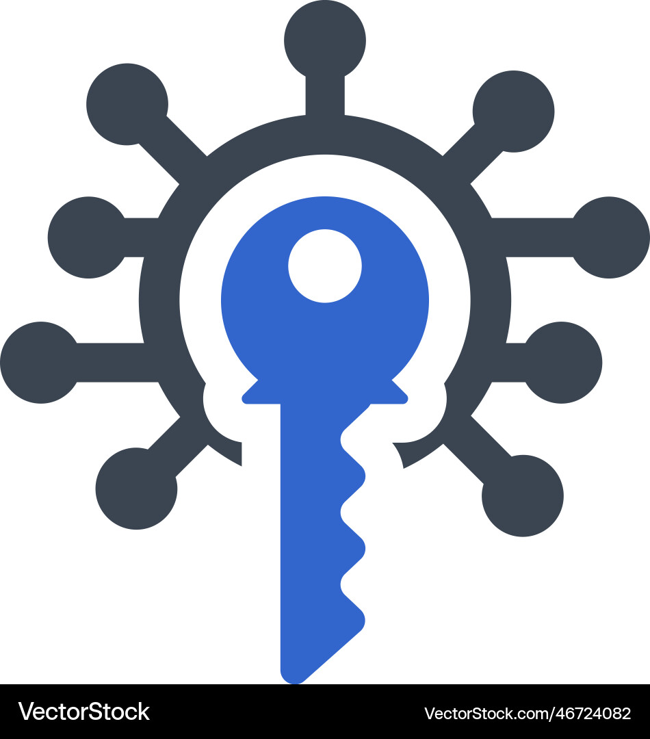 Vpn key icon Royalty Free Vector Image - VectorStock