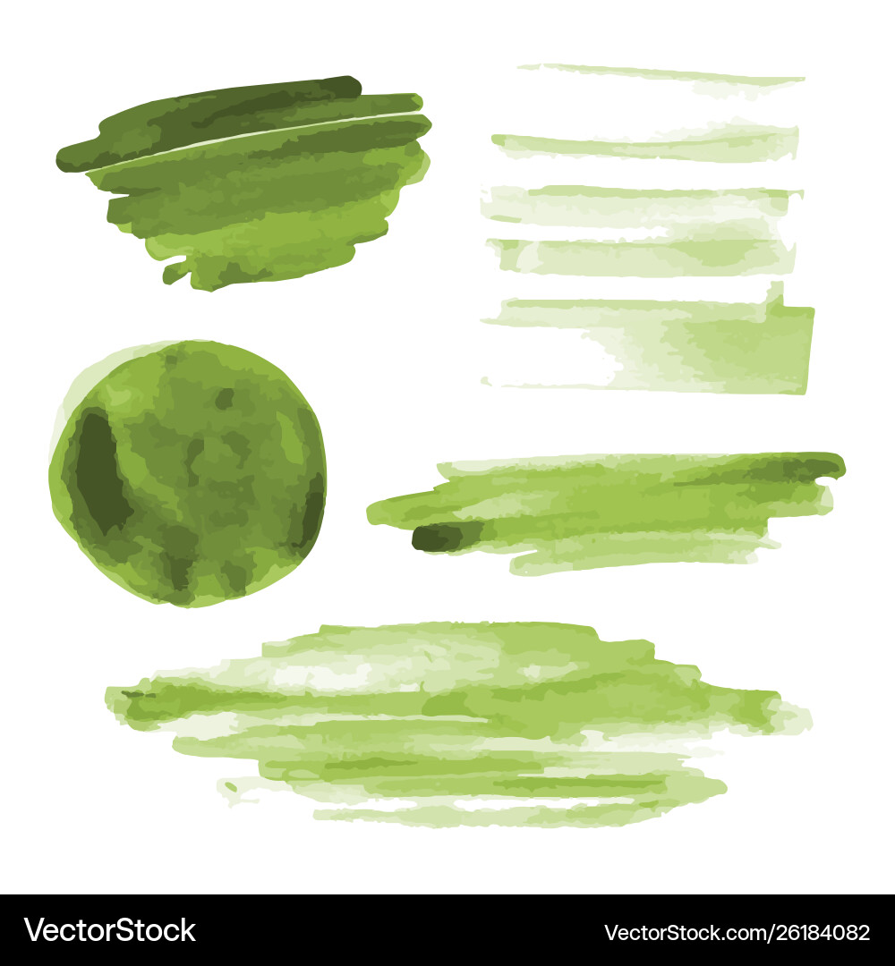 Watercolor Green Paint Splatters & Strokes Vector Image