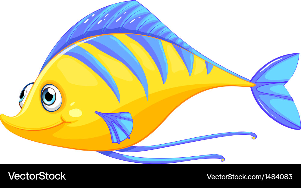 A fish Royalty Free Vector Image - VectorStock