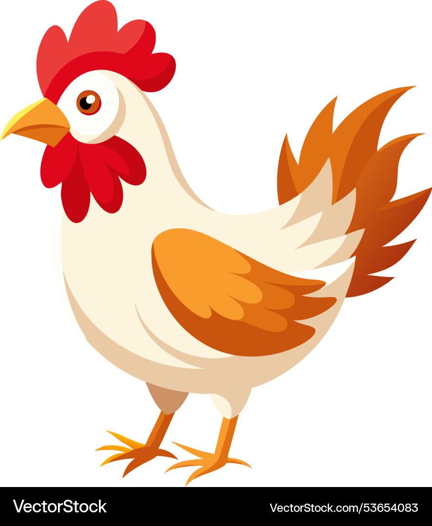 Chicken color Royalty Free Vector Image - VectorStock