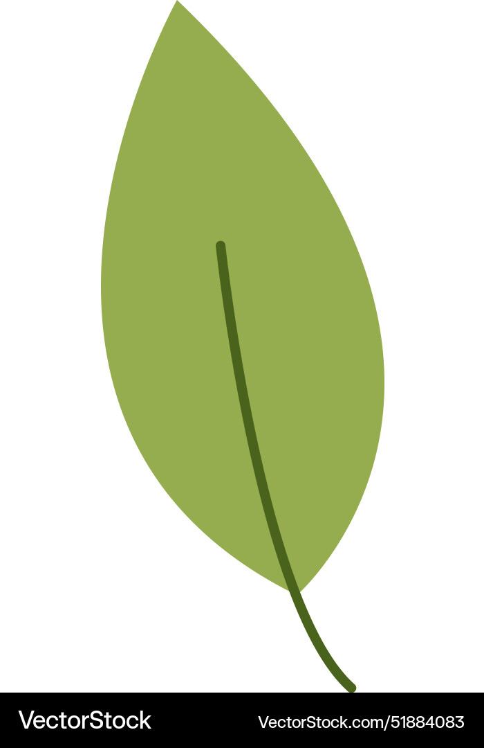 Leaf handdrawn icon Royalty Free Vector Image - VectorStock