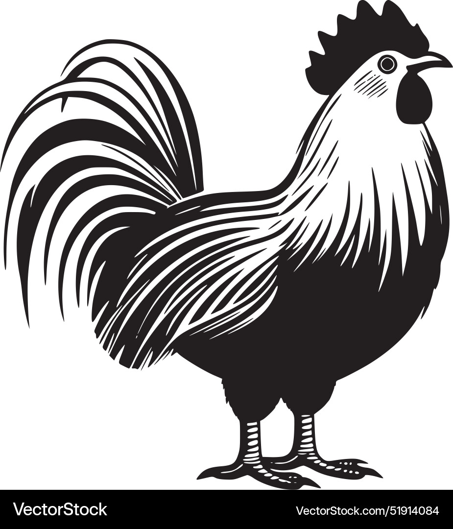 Chicken - black and white Royalty Free Vector Image
