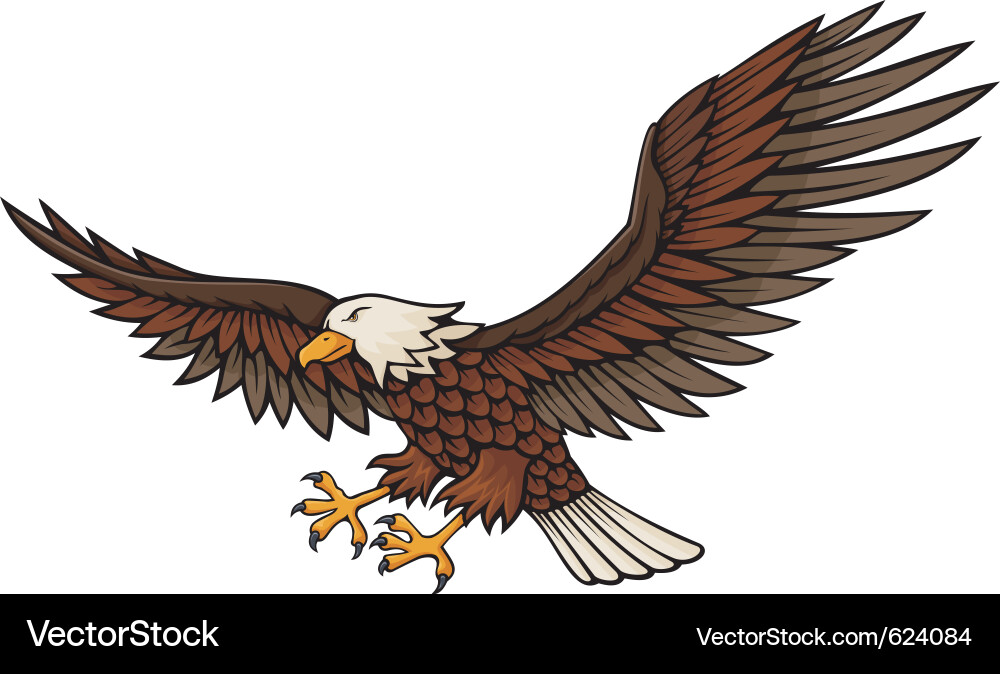 Eagle attacking Royalty Free Vector Image - VectorStock