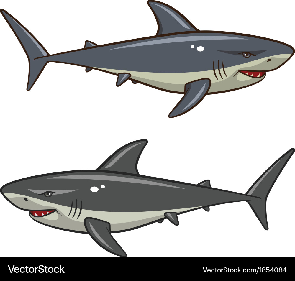 Shark Royalty Free Vector Image - VectorStock