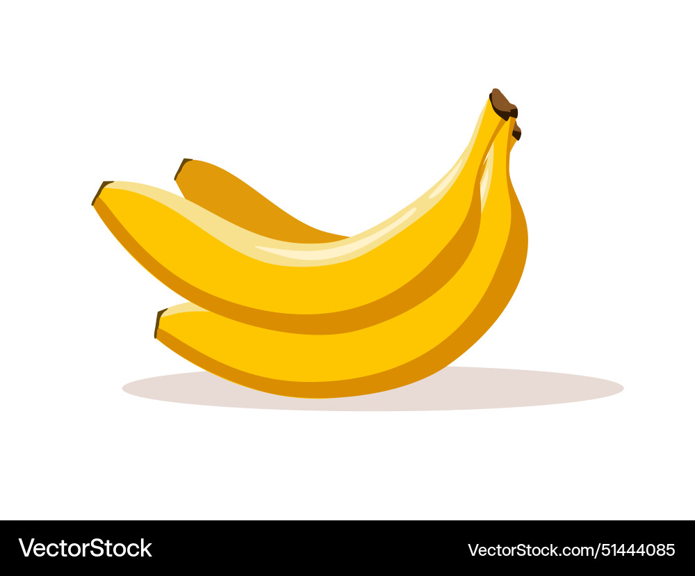 Bananas isolated on white background Royalty Free Vector