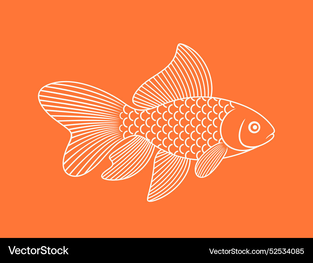 Gold fish Royalty Free Vector Image - VectorStock