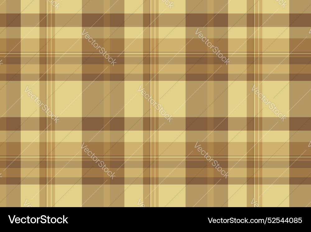 Grand pattern tartan check lady texture plaid Vector Image