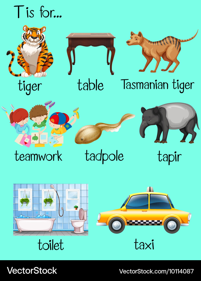 Many words begin with letter t Royalty Free Vector Image