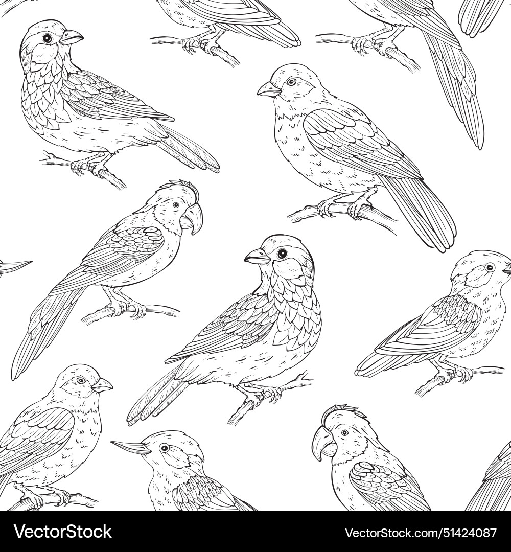 Seamless pattern with various birds types Vector Image