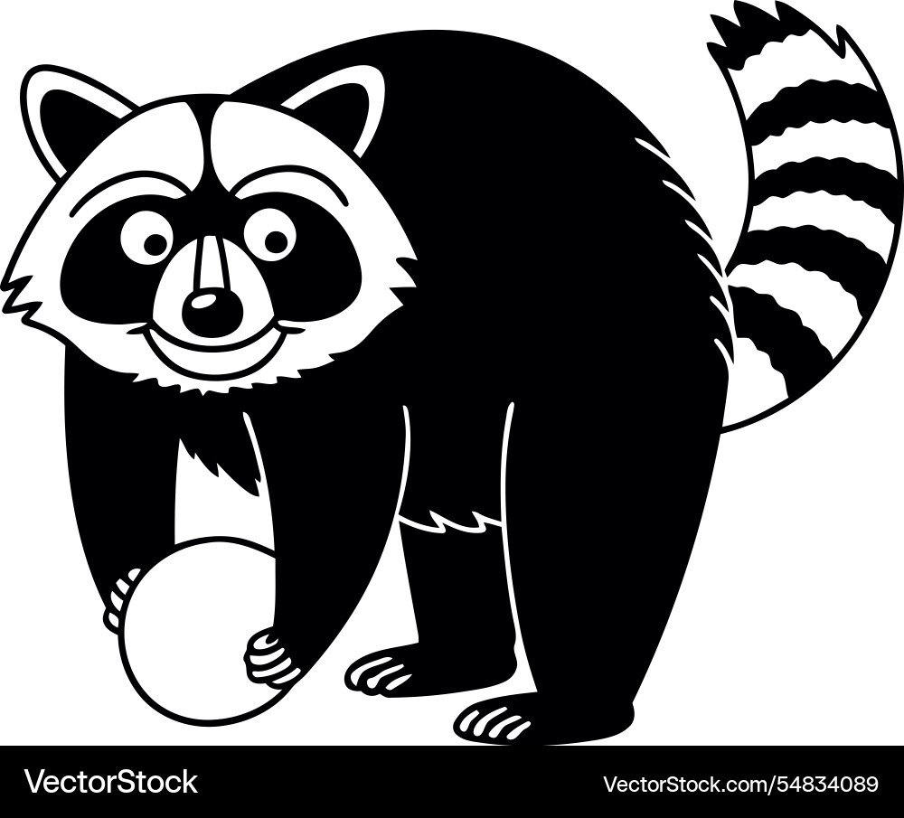 Raccoon is standing on a ball silhouette Vector Image