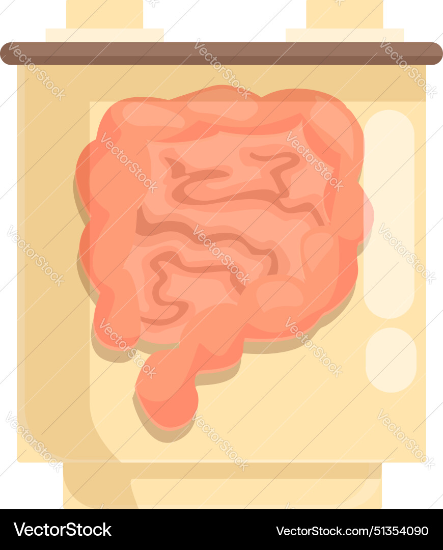 A large intestine within human Royalty Free Vector Image