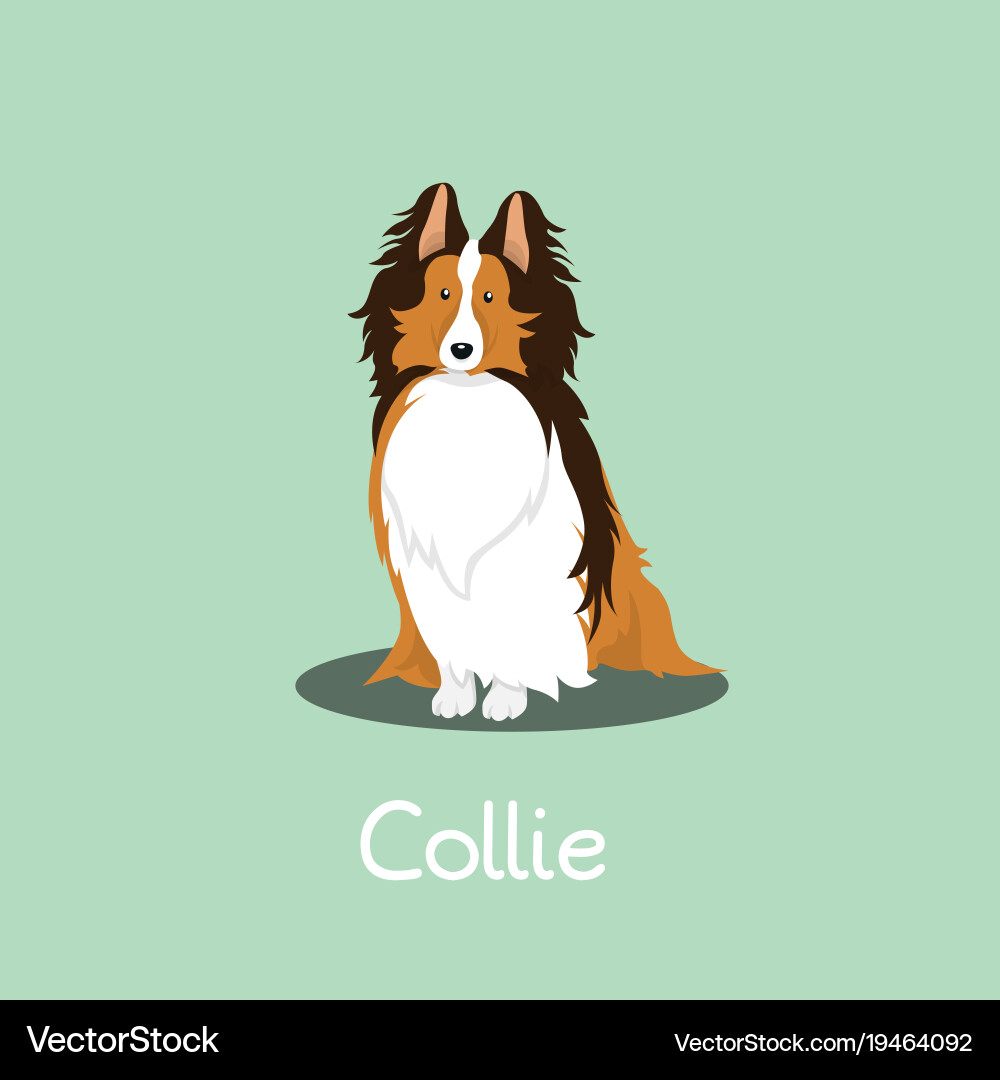 An depicting a cute collie dog Royalty Free Vector Image