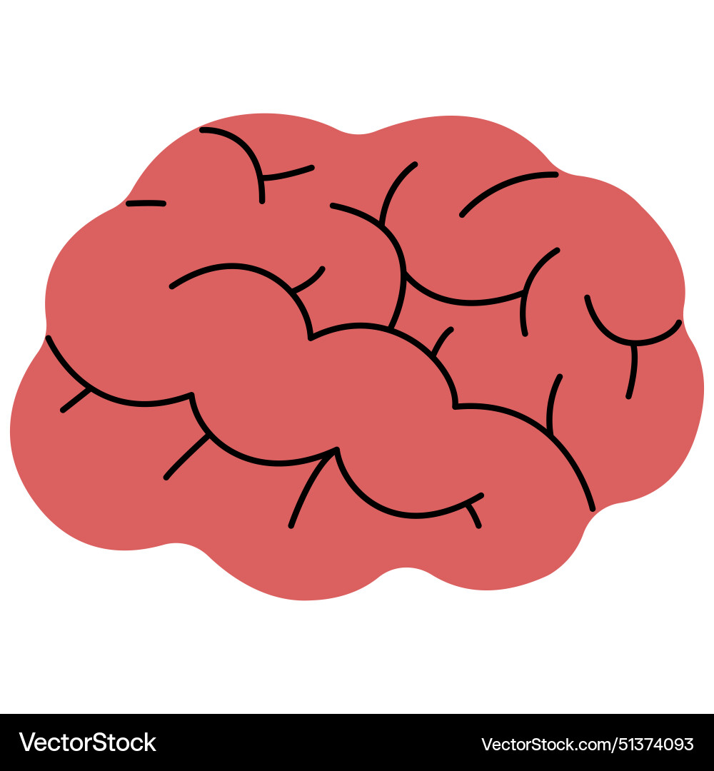 Brain Royalty Free Vector Image - VectorStock Brain Royalty Free Vector Image - VectorStock
