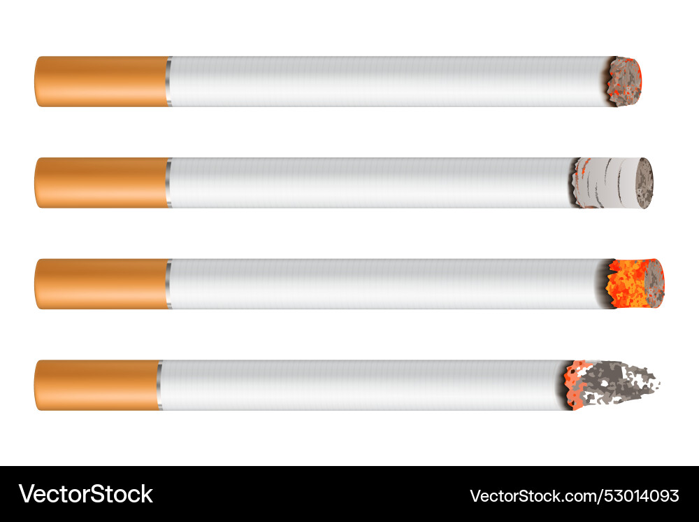 Realistic cigarette collection set Royalty Free Vector Image