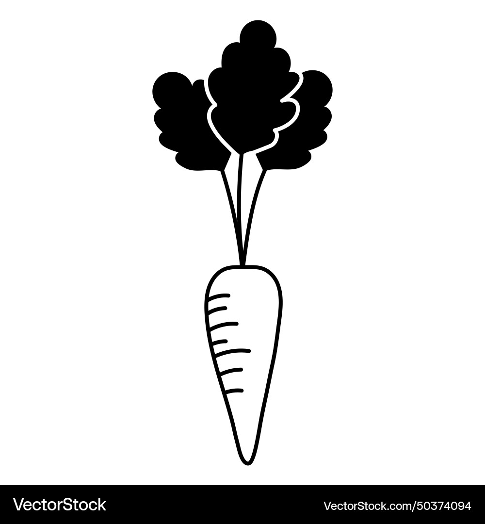 Black and white carrot line icon Royalty Free Vector Image
