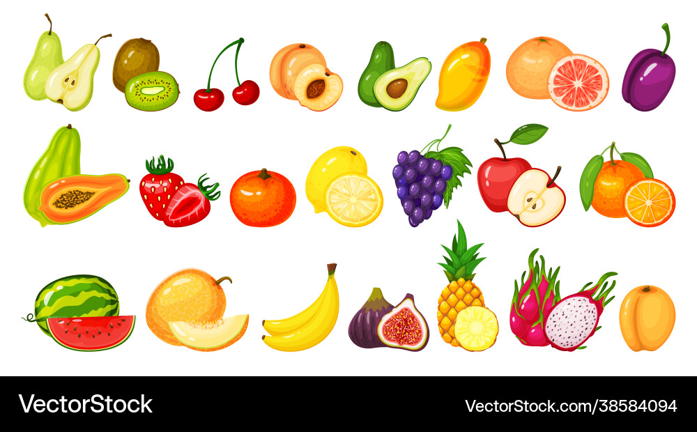Colorful Fruit Slices Royalty Free Vector Image