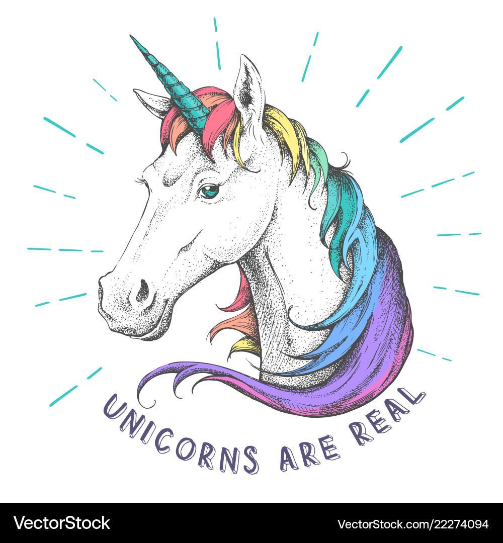 Cute Unicorn Head Drawing Royalty Free Vector Image