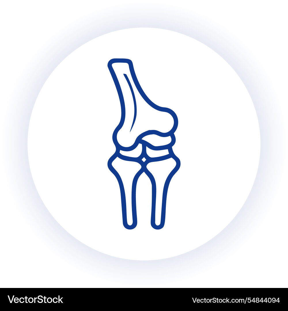 Detailed of a human joint Royalty Free Vector Image