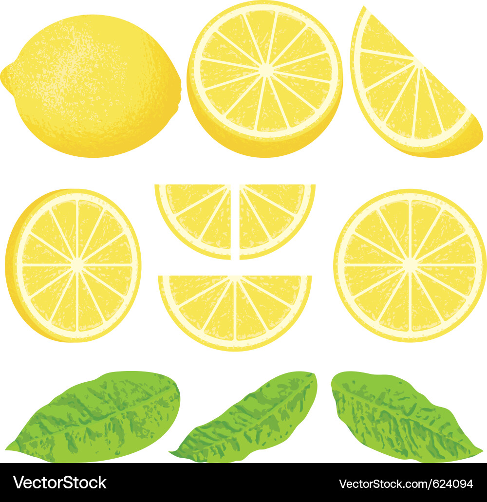 Lemon Royalty Free Vector Image - VectorStock