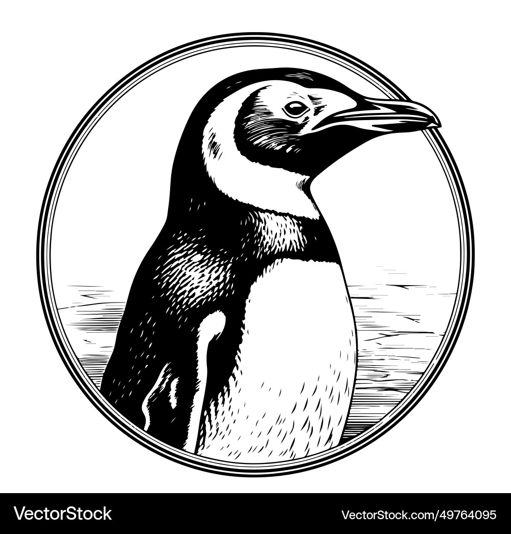 Penguin portrait head sketch hand drawn Royalty Free Vector