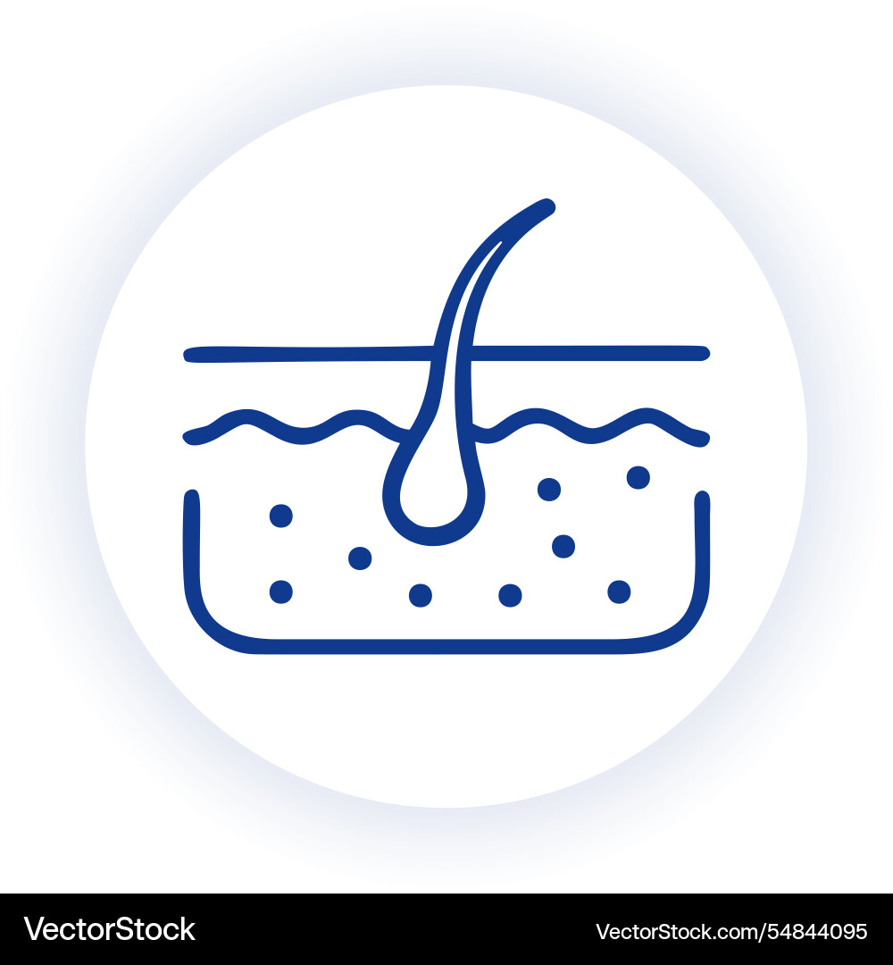 Understanding human skin anatomy through Vector Image