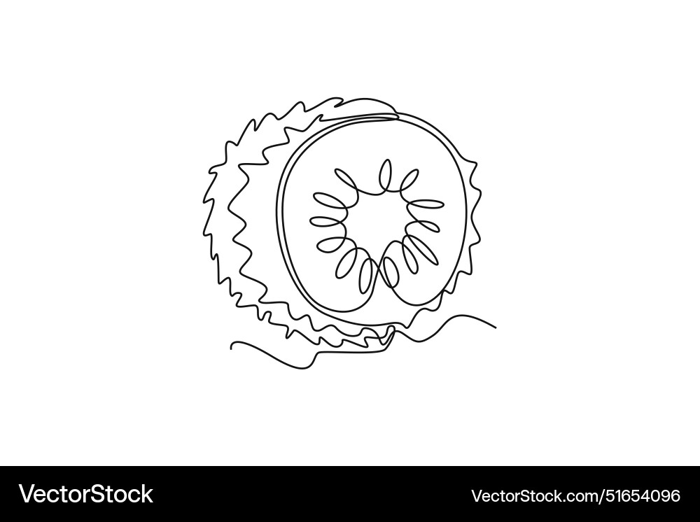 Continuous one line drawing cut half sliced Vector Image