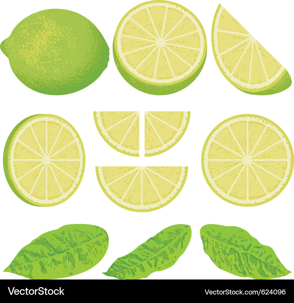 Lime Royalty Free Vector Image - VectorStock