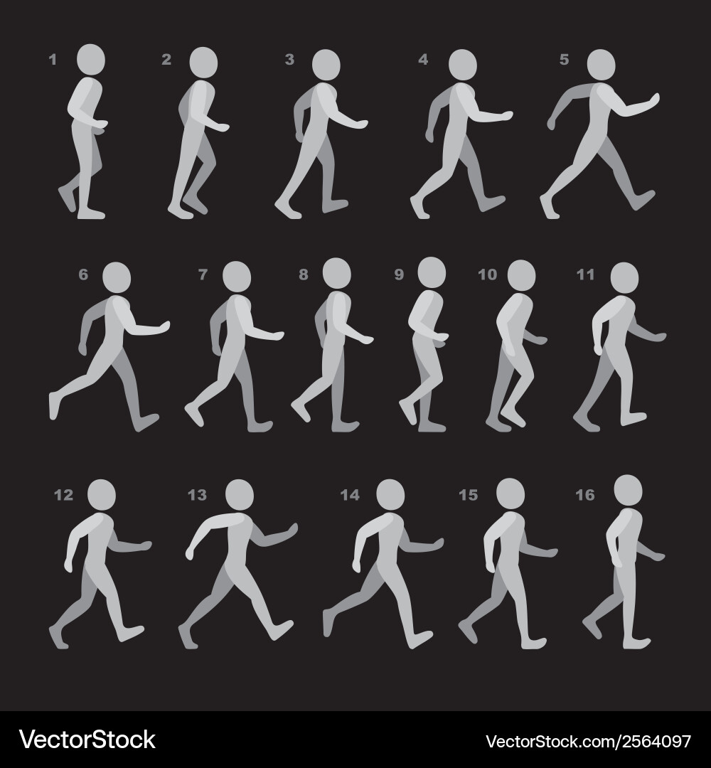 Phases of step movements man in walking sequence Vector Image