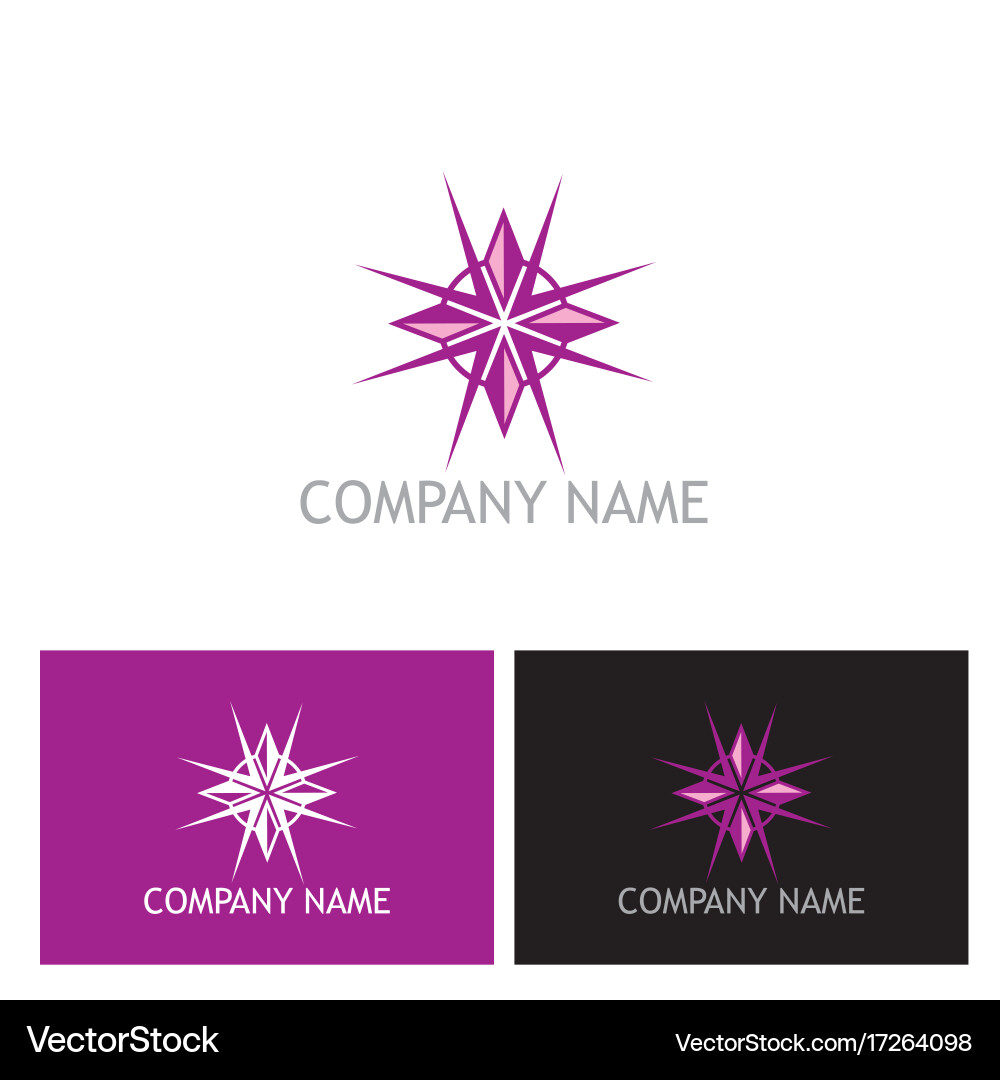 Beauty star diamond logo Royalty Free Vector Image